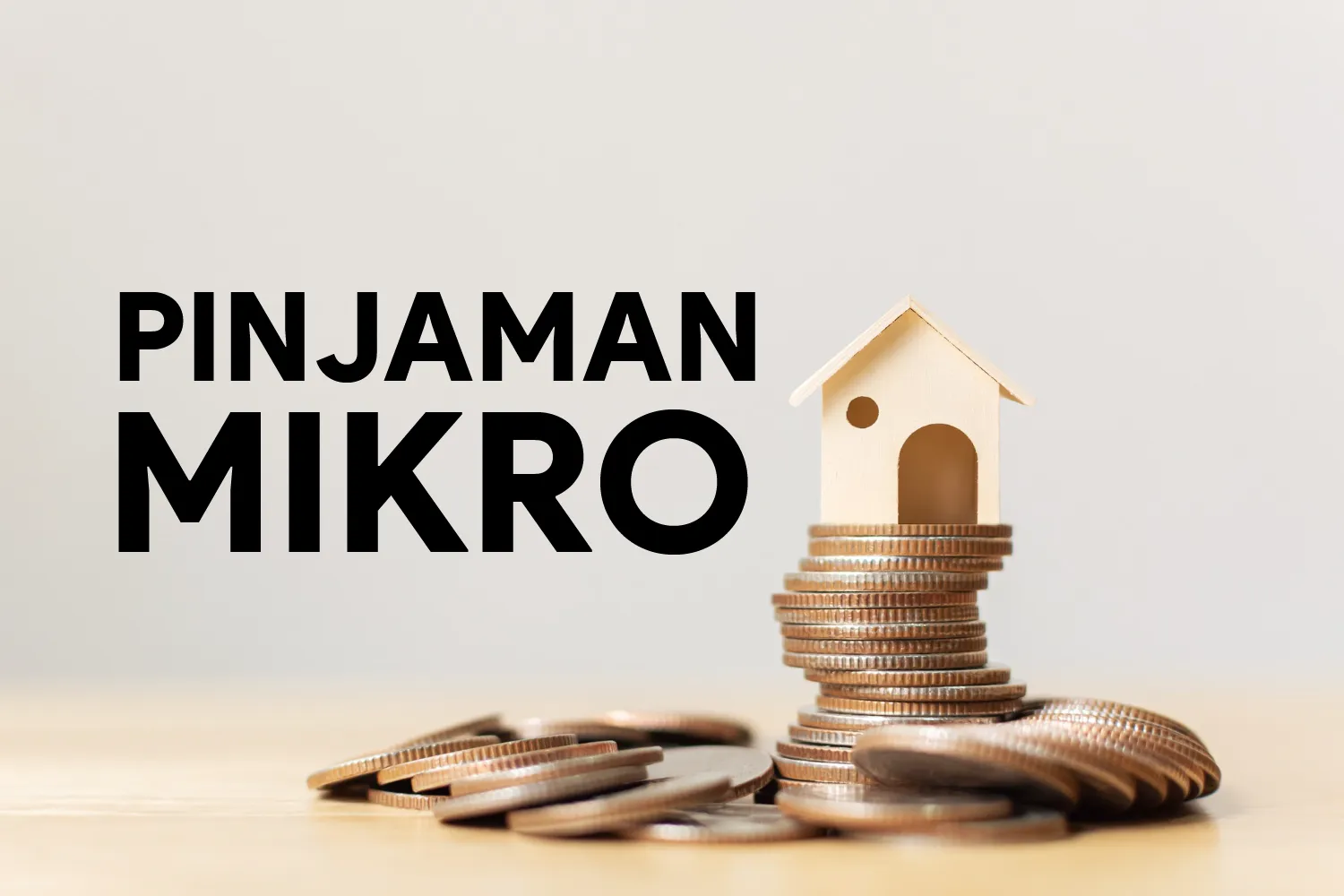 Apa Itu Pinjaman Mikro dan Siapa Layak